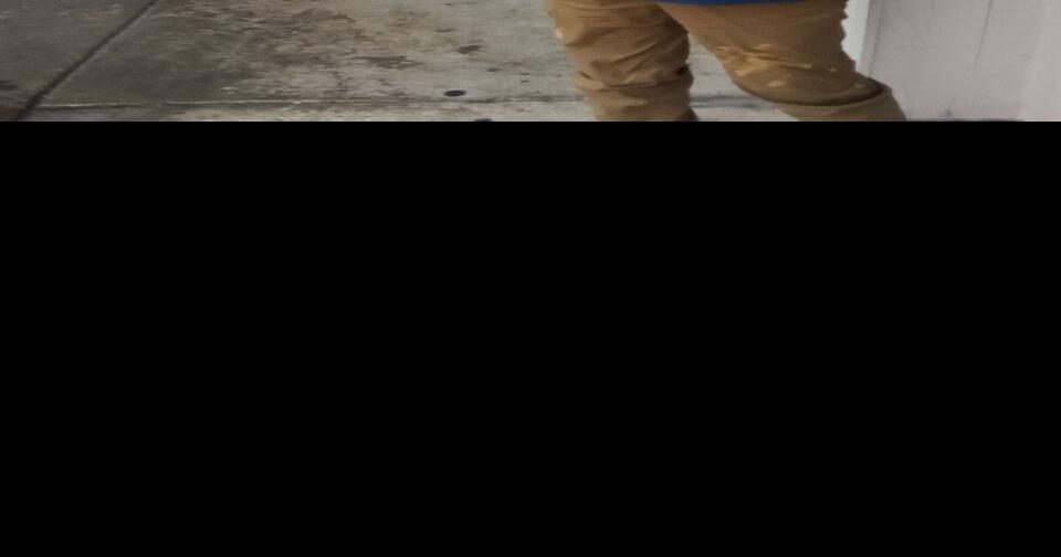 Let’s hear it for the bees: Youth Master Melittologist designs Oregon ...