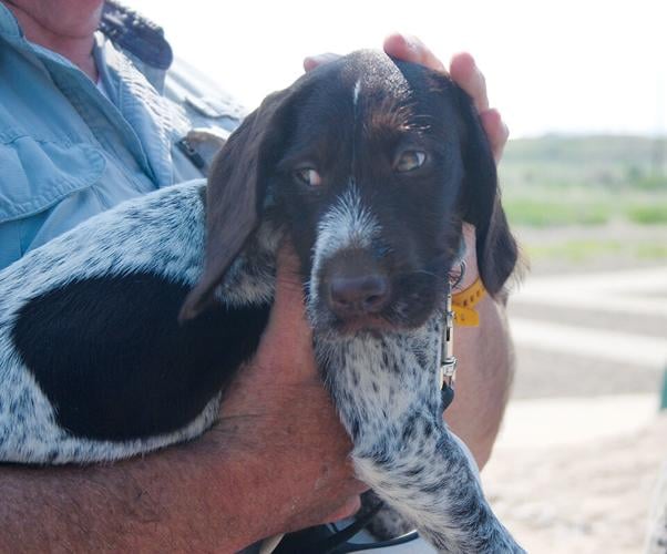 Remembering Allan Vincent: Celebration of Life centers around what he ...