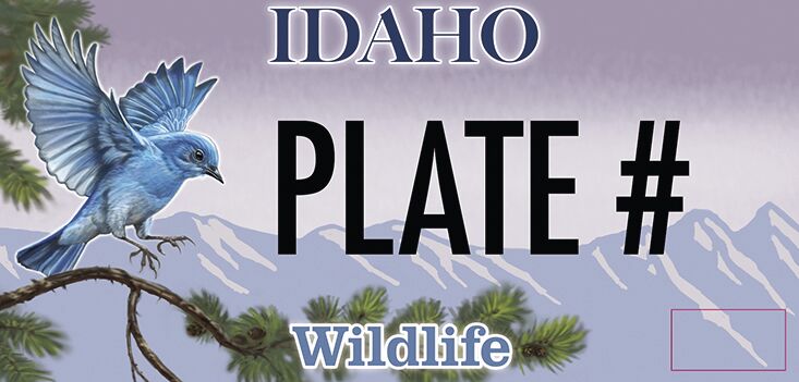 The 2024 Idaho wildlife license plates are now available ...