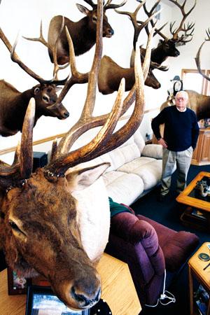 World Record Spider Bull Elk