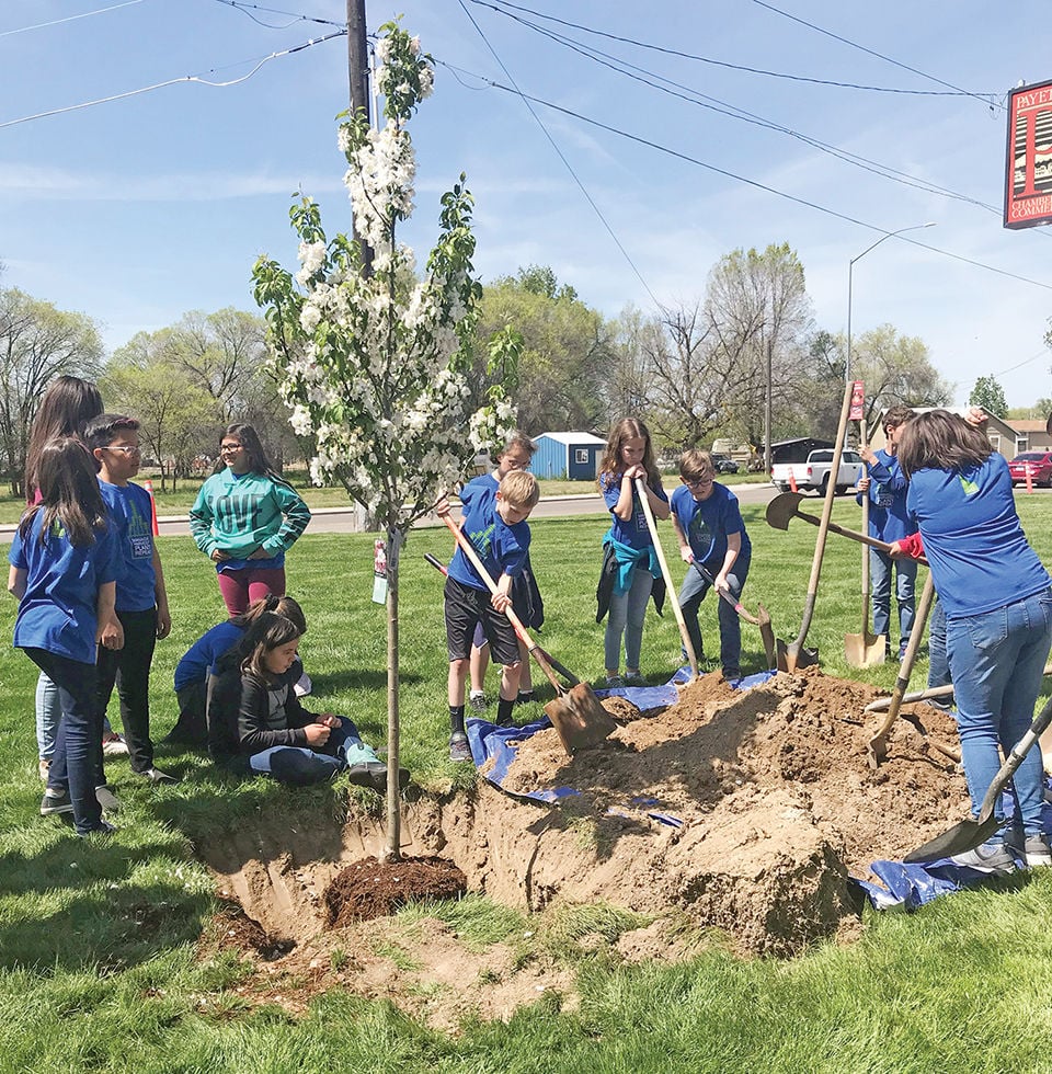 Fifth-grade students plant trees | News | argusobserver.com
