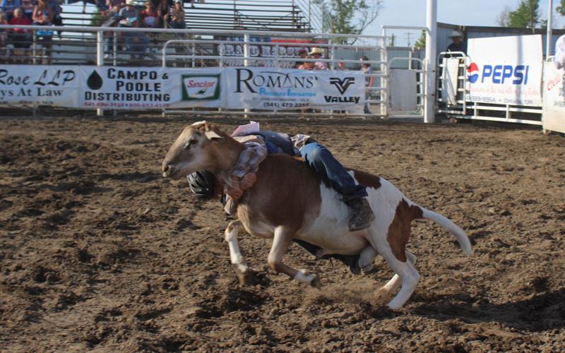 Locals beat the heat in the Vale 4th of July Rodeo (PHOTOS) | Local ...