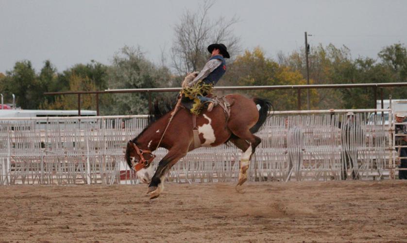 Chukars compete in the rain during the TVCC Rodeo | Local Sports ...