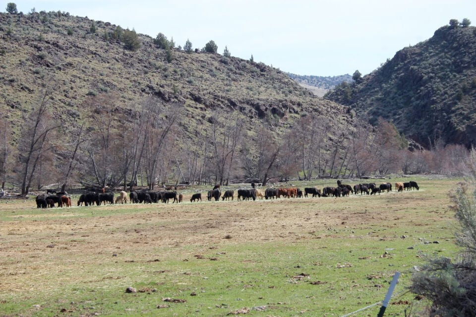 Idaho Power announces proposed sale of eastern Oregon service area ...