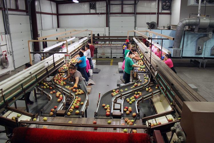 Local crops find markets all over the world | News | argusobserver.com