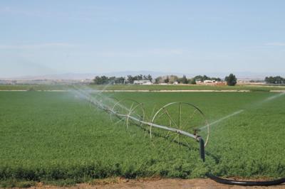 Irrigation season coming to end with hope for next year | Local News ...