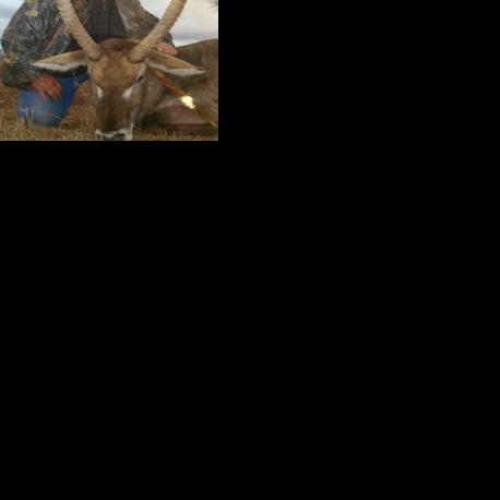 Kenneth Delmaine Warrington | Obituaries | argusobserver.com