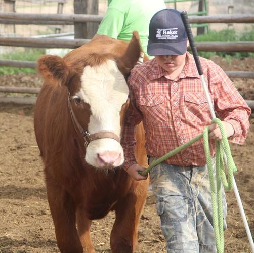 Frisky Critters prepare for the Malheur County Fair | Local News ...