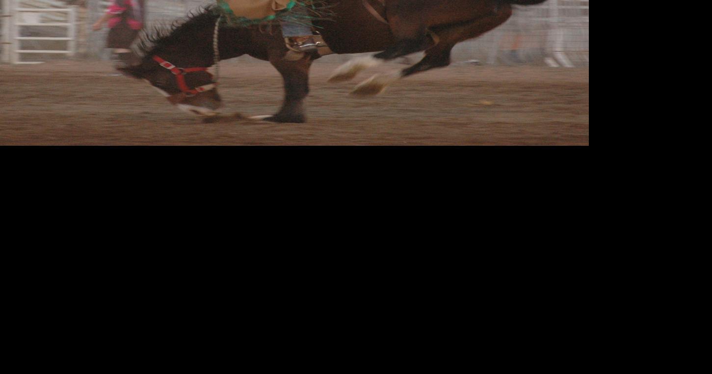 TVCC men’s rodeo takes 3rd in Regional, Chukar rodeos | Sports ...