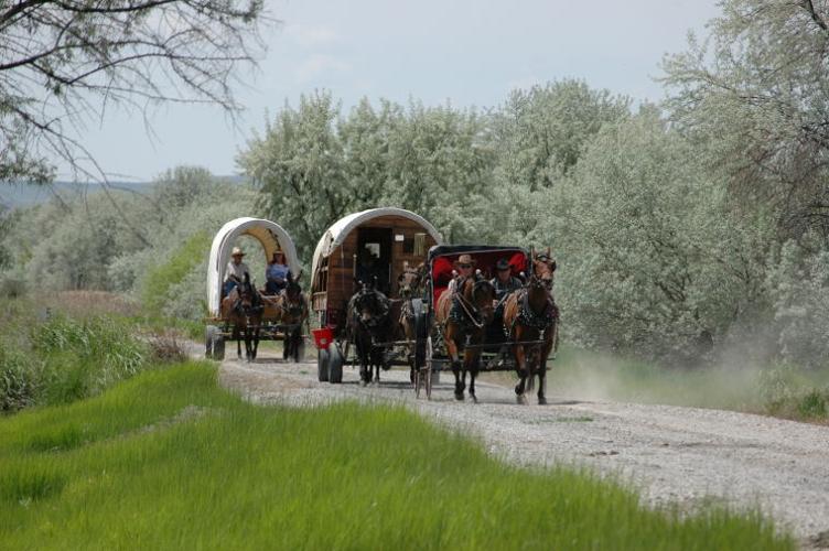 Wagon Train Ride hits the trail | Mobile | argusobserver.com