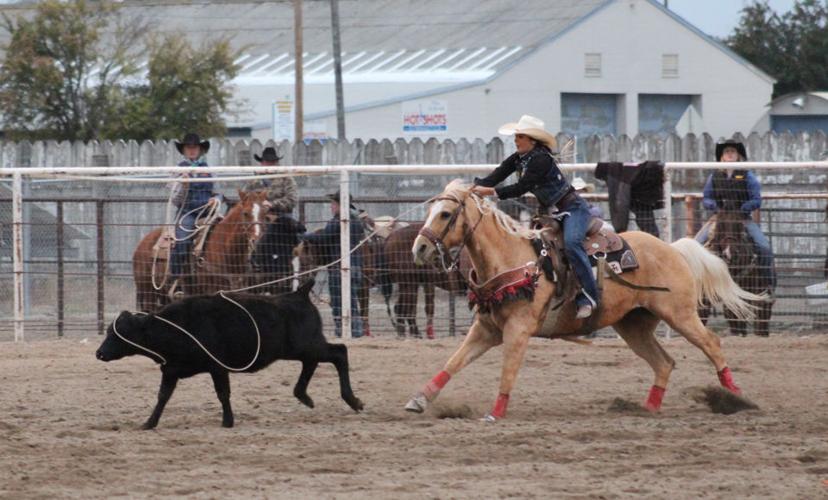 Chukars compete in the rain during the TVCC Rodeo | Local Sports ...