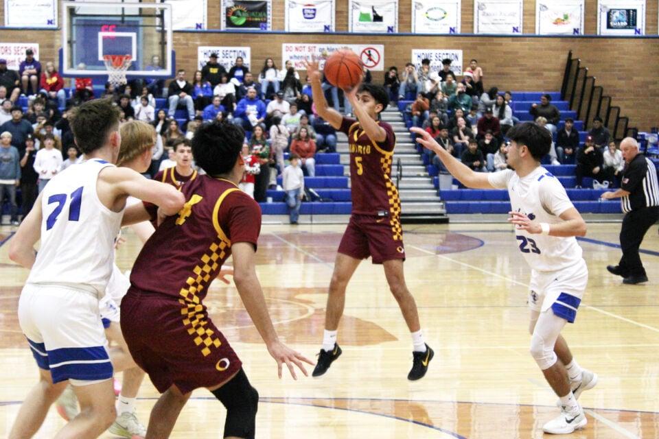 Bulldogs drop in 67 points to Tigers 38 | Local Sports | argusobserver.com