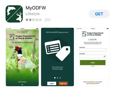 ODFW fixes bug on app for e-tagging | Local News | argusobserver.com
