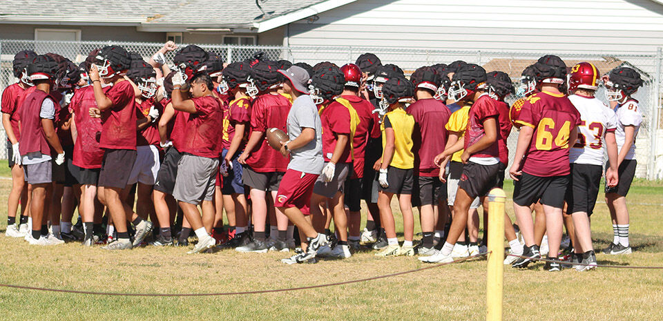 Tigers primed to show prowess on the football field | | argusobserver.com