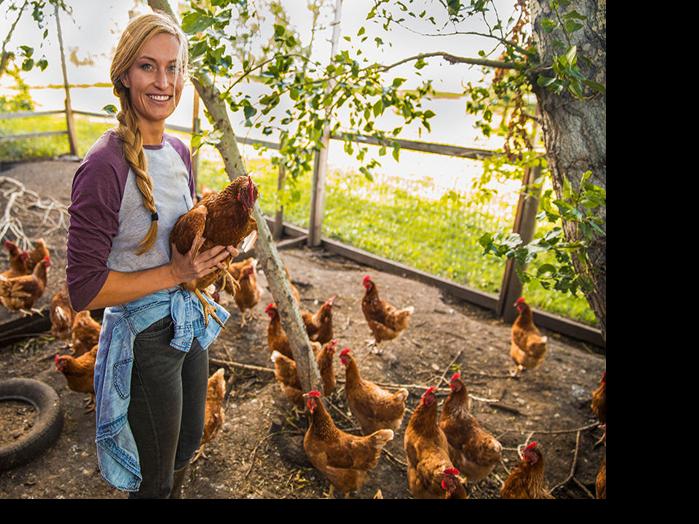 Nyssa City Council gives final OK for flocks | Local News Stories ...