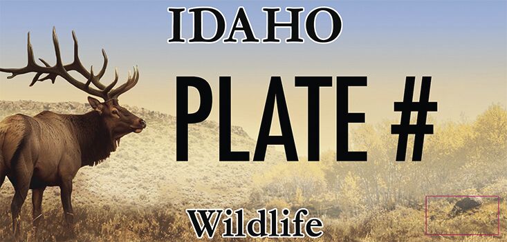 The 2024 Idaho wildlife license plates are now available ...