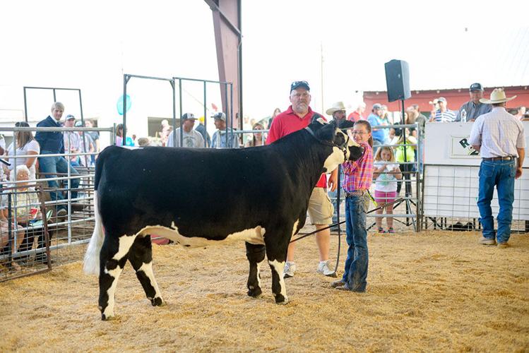 2015 Payette County Fair exhibit winners | News | argusobserver.com