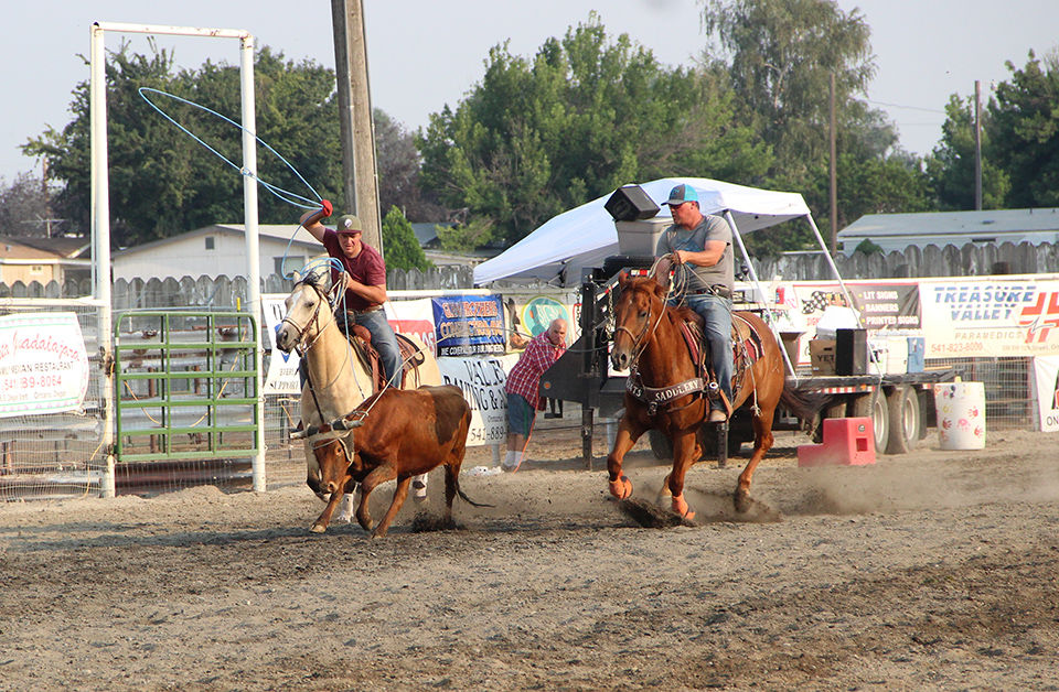 Team roping main events fair’s second day | Local Sports News ...