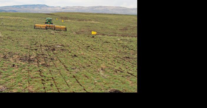 U.S. launches plan for fires on rangeland | Local News | argusobserver.com