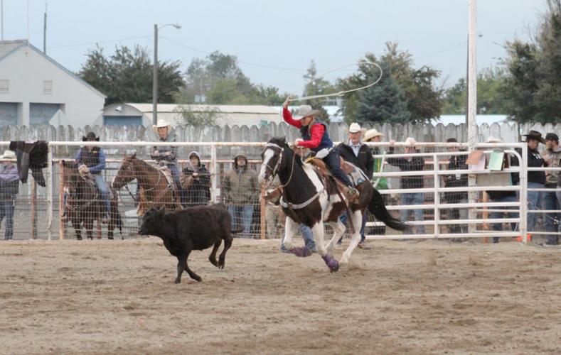 Chukars compete in the rain during the TVCC Rodeo | Local Sports ...