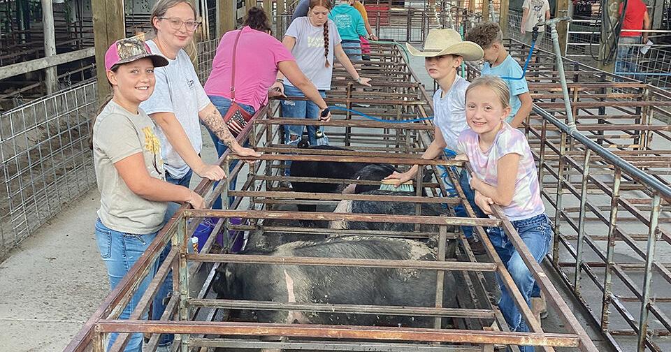 Animals front and center at the fair | Independent-Enterprise ...