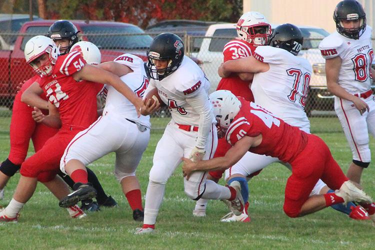 Here are your 2020 top local sports stories | Local Sports ...