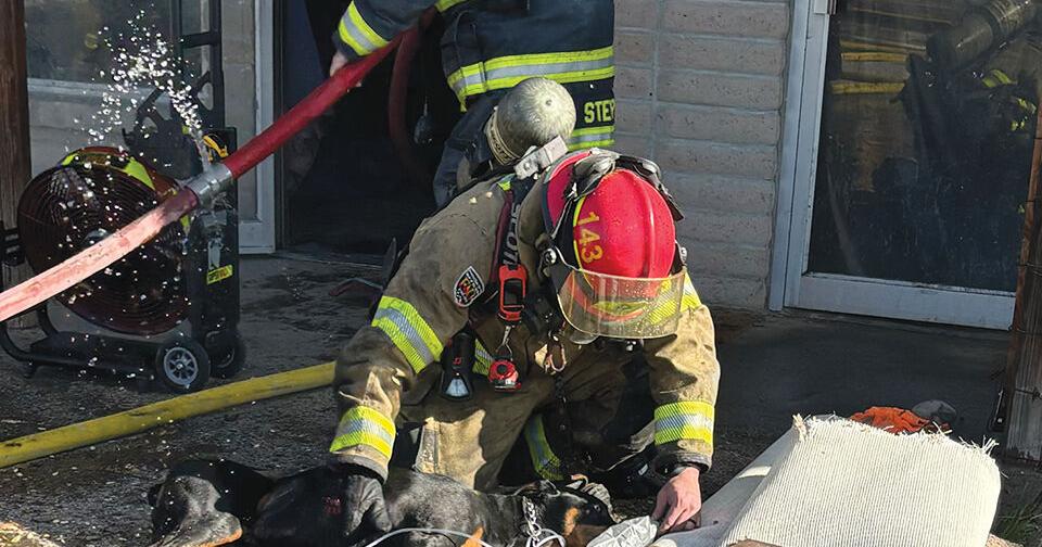 First responders rescue dobermans, cat | Local News | argusobserver.com