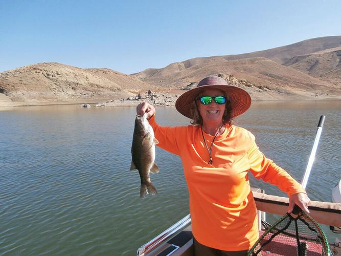 Andrea Testi to retire from Small Business Development Center | Local ...