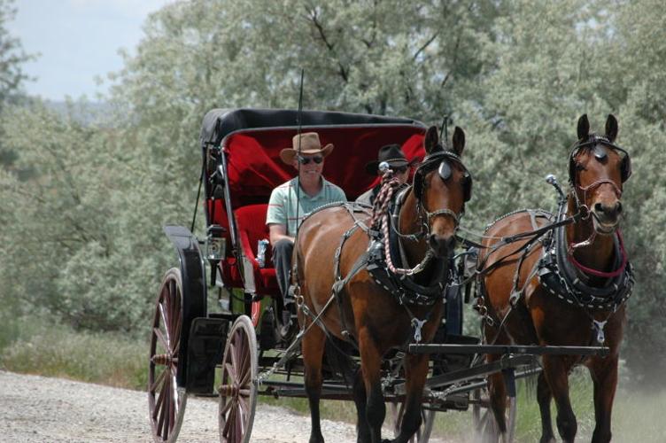 Wagon Train Ride hits the trail | Mobile | argusobserver.com