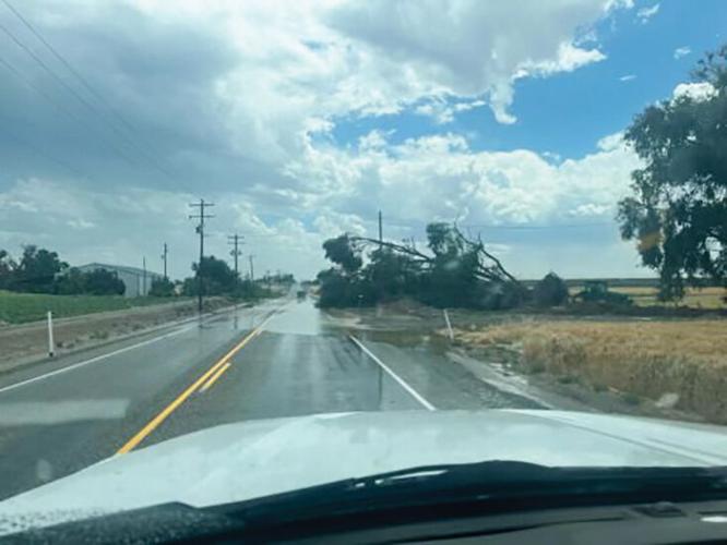 Storm wreaks havoc in Nyssa | Local News | argusobserver.com