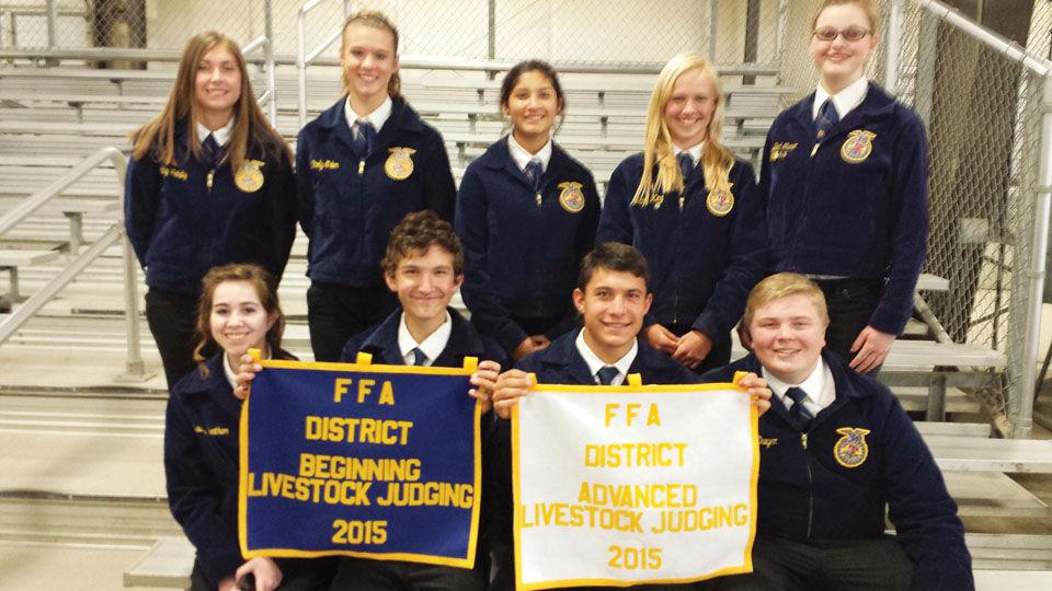FFA youths compete in livestock judging | Local News Stories ...