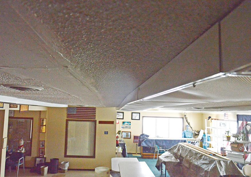 Winter damage | | argusobserver.com