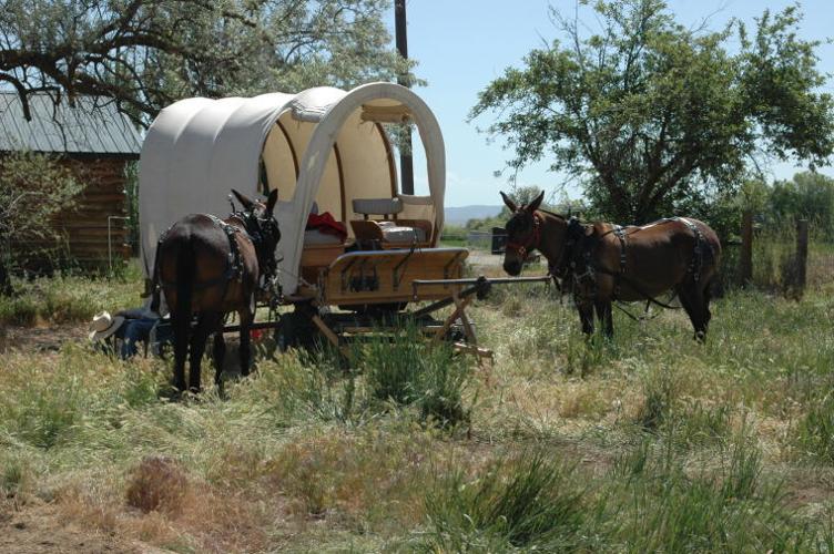Wagon Train Ride hits the trail | Mobile | argusobserver.com