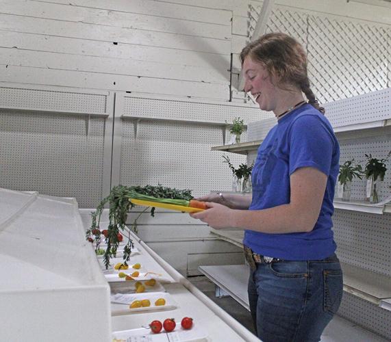 Entering Exhibits: Open class entries pour in | Local News Stories ...