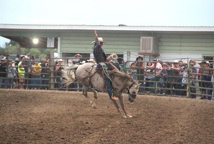 Locals buck through Nyssa Nite Rodeo | Local Sports | argusobserver.com