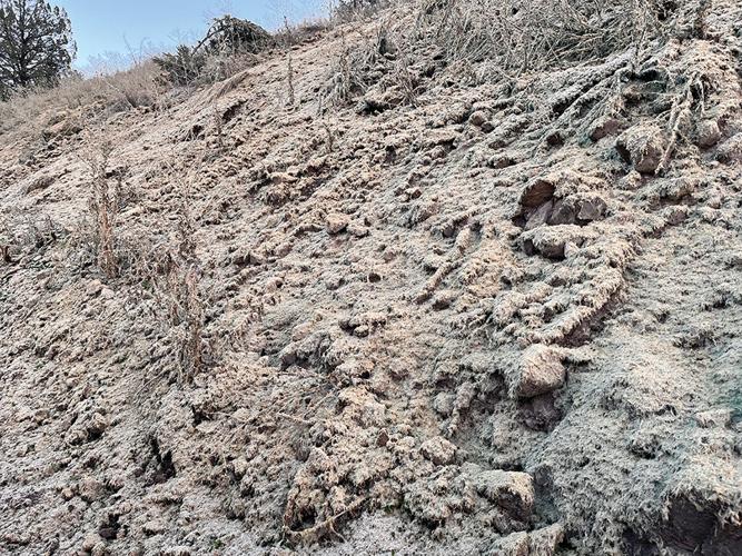 Cutting down juniper trees on Pole Creek Road one of the earlier phases ...
