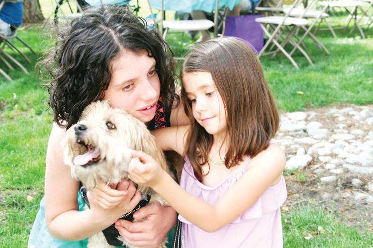 Doggon good to have unconditional comfort and love | Lifestyle-and ...