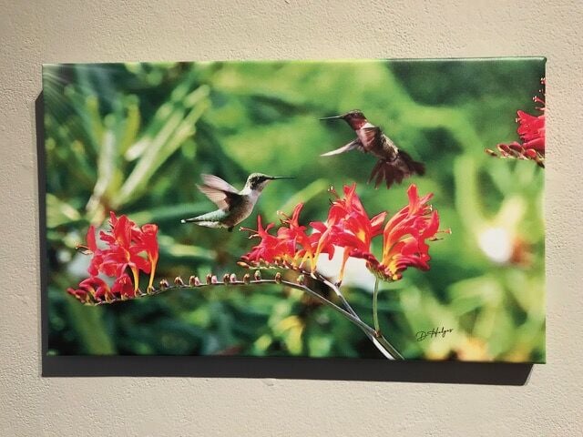 Back to Nature exhibition opens at Ashe Arts Center | Arts And ...