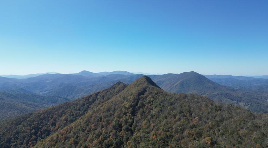BRC amphibo-hikes continue to bring nature-lovers together | Community ...