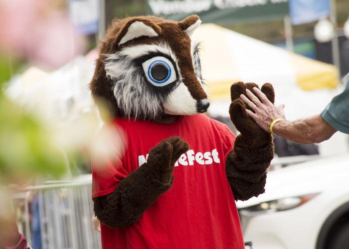 MerleFest's history remains vital to the festivals culture | Community ...