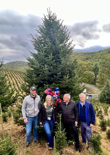 White House chooses Cline Church Nursery Christmas tree for Blue Room ...
