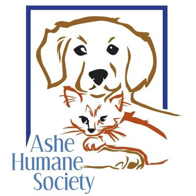 A new direction for the Ashe Humane Society | Community ...