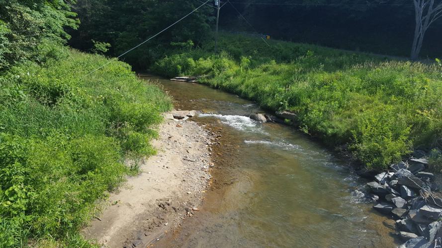 New River Conservancy hits 100 mile mark on stream bed restoration ...