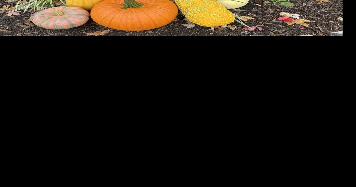 Ashe County gets into the Halloween Spirit: A list of Halloween events ...
