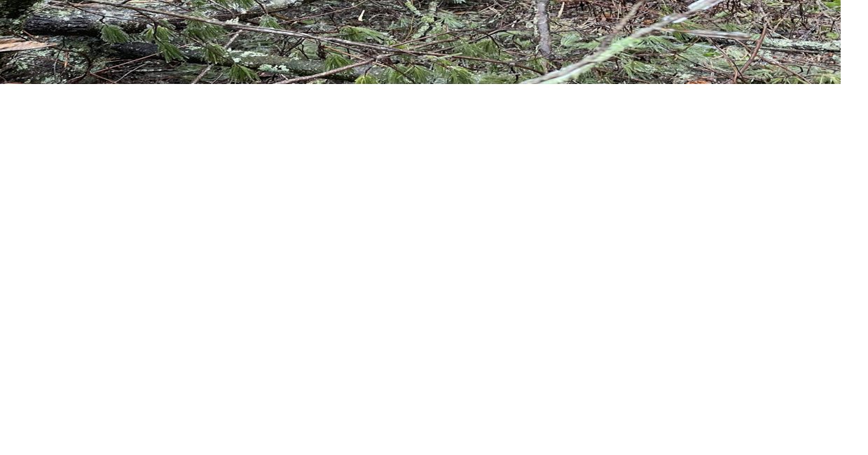 BRE line crews restore power from damaging windstorm, heavy rain, ice ...