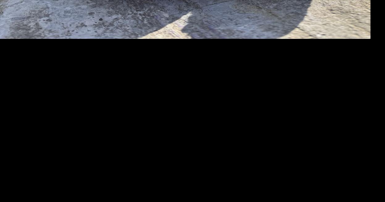 Hellbender Adopt-a-thon to benefit New River water quality | Community ...