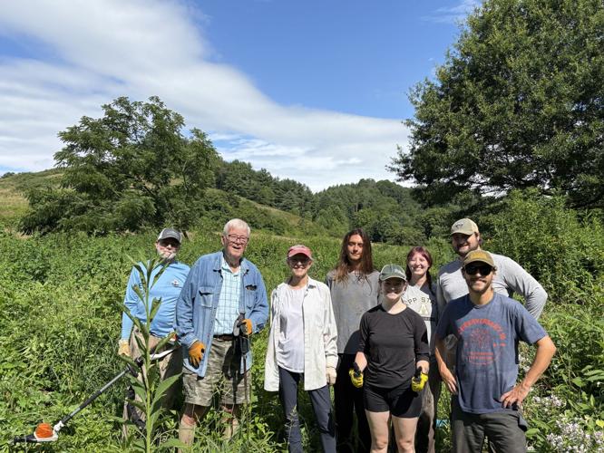New River Conservancy hosts invasive species removal | Community ...