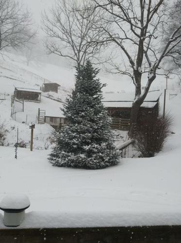 The great snowfall of Ashe County | Community | ashepostandtimes.com