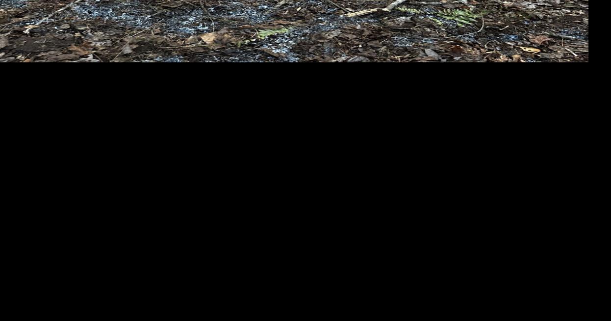 Ashe County Forest Ranger helps contain brush fire in Deep Gap | News ...