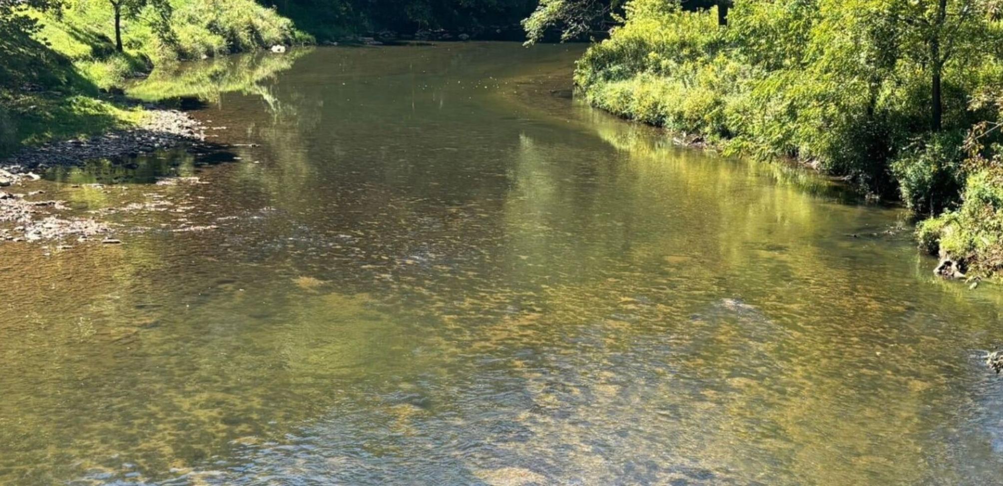 Donation could fund future New River projects | News | ashepostandtimes.com